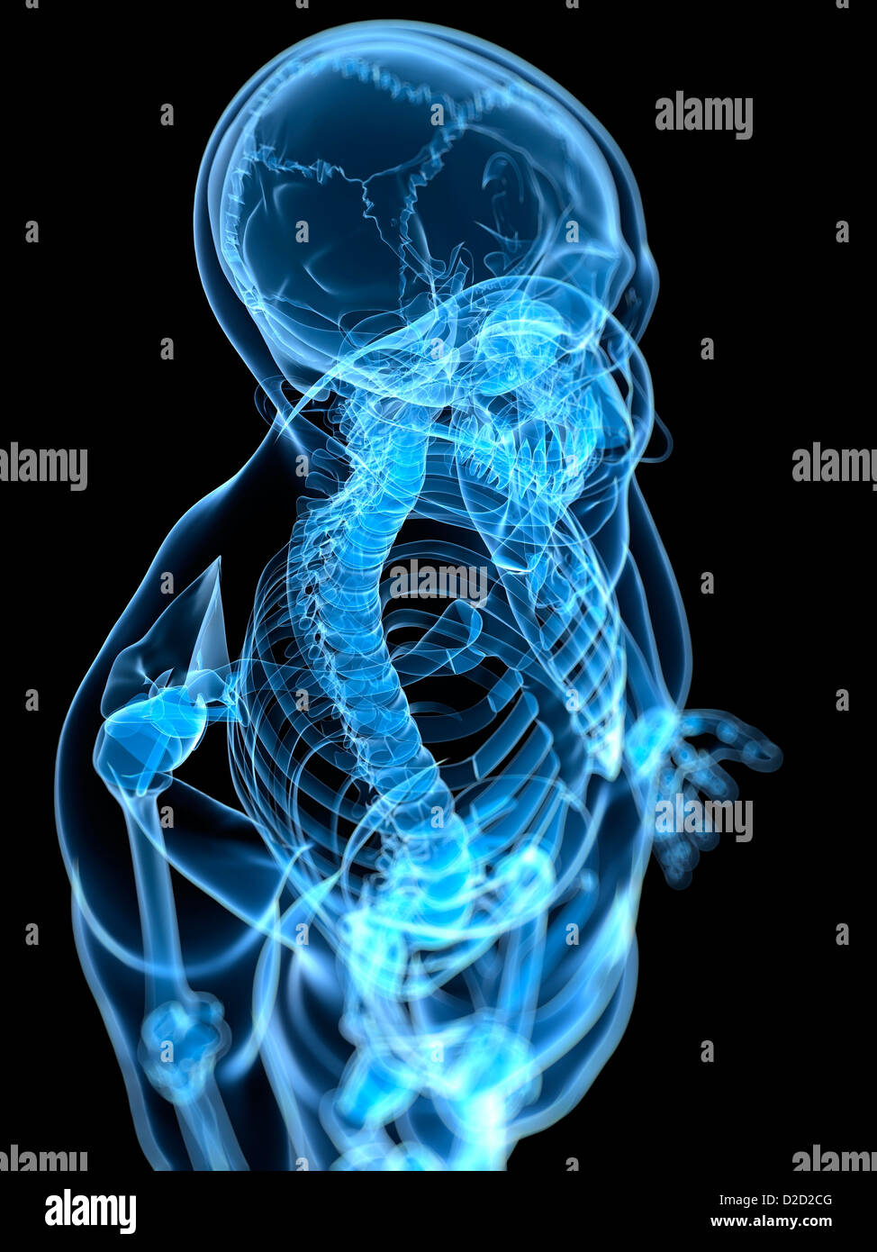 Oblique Rear View High Resolution Stock Photography and Images - Alamy