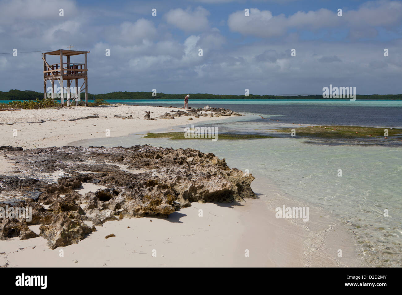 A lifeguard tower overlooking Lac Bay Beach, Bonaire Stock Photo - Alamy
