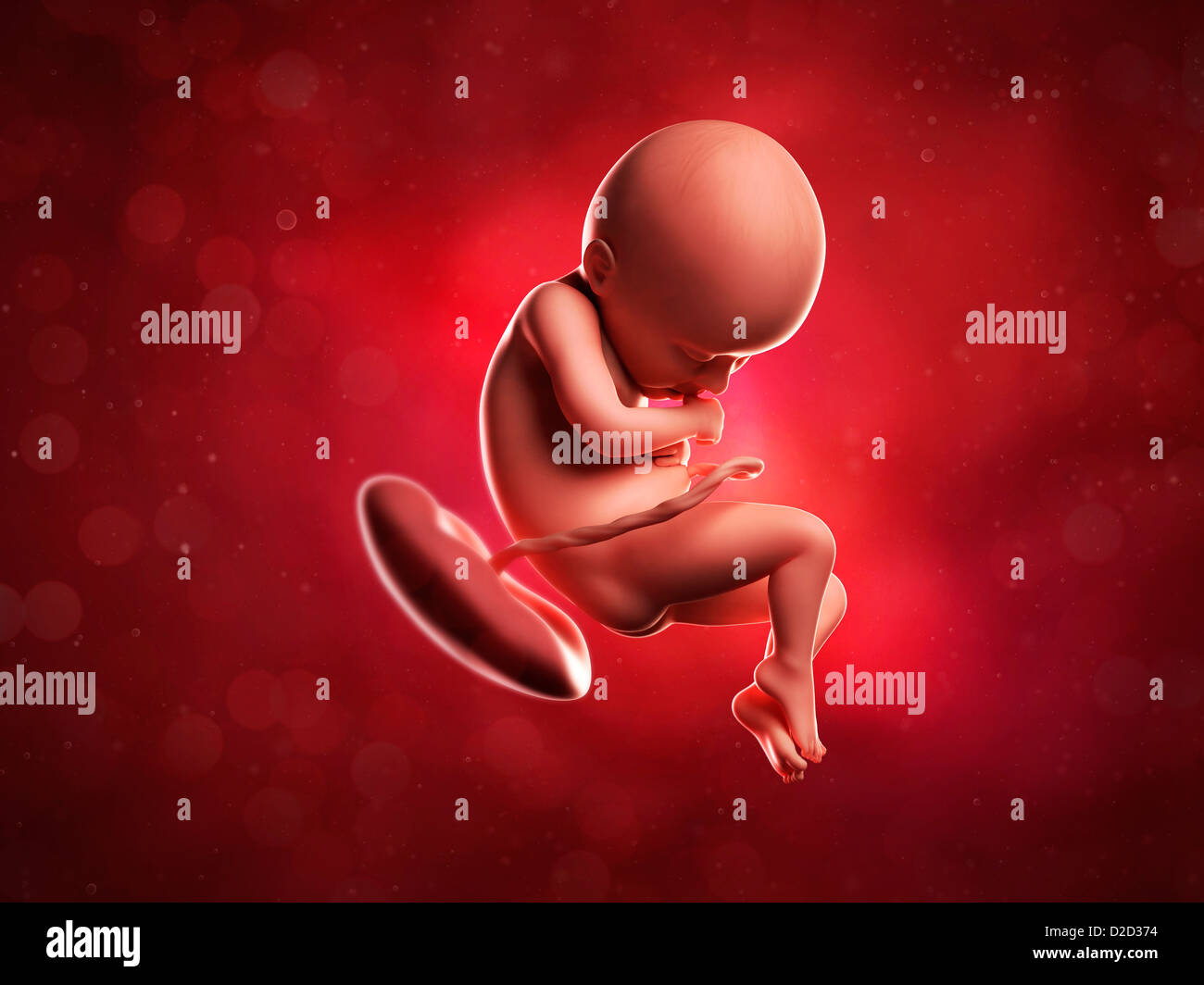 36 Weeks Gestation High Resolution Stock Photography and Images - Alamy