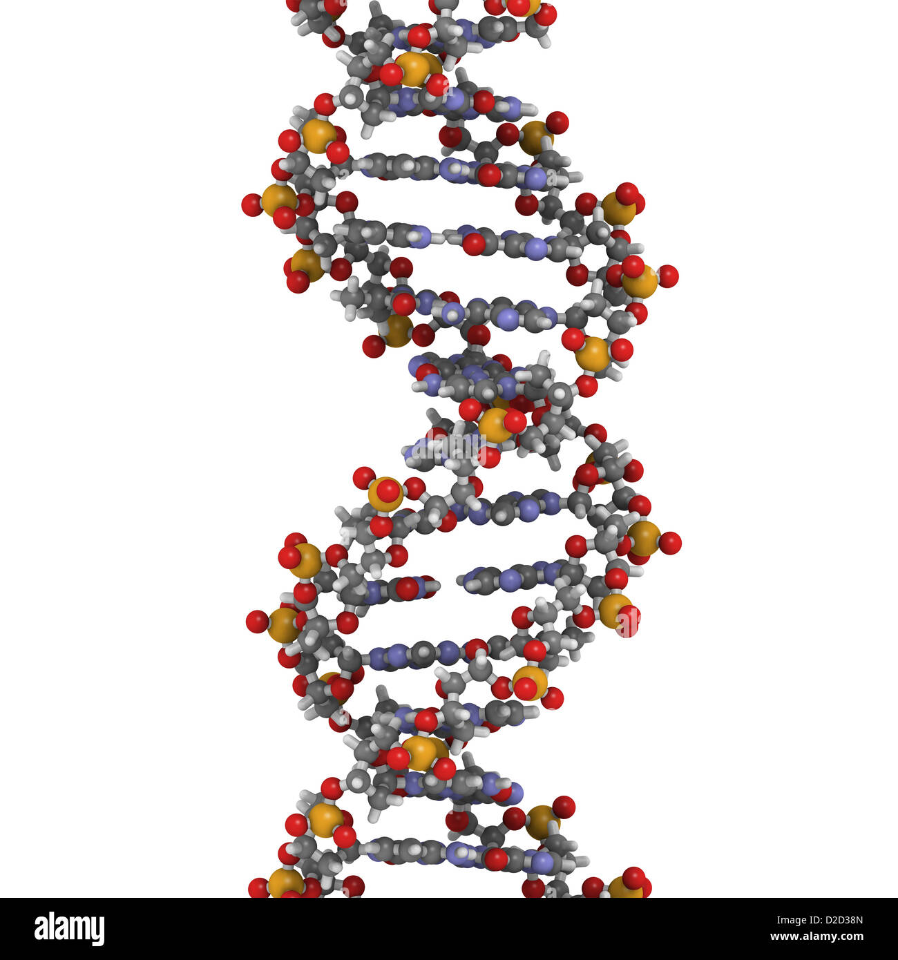 DNA deoxyribonucleic acid Stock Photo - Alamy
