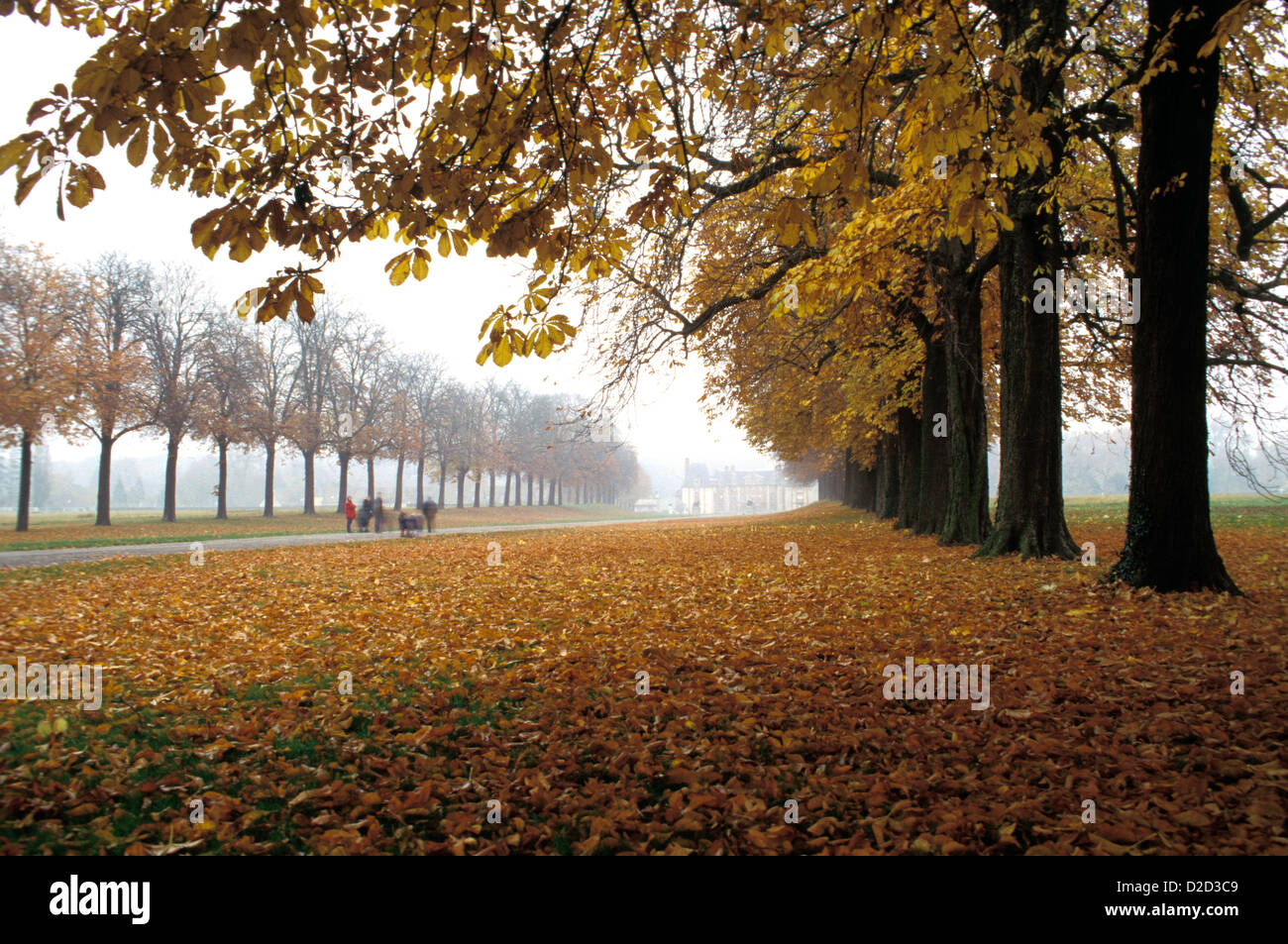 France, Ile De France, Boissy St. Leger. Trees In Autumn, Chateau De ...