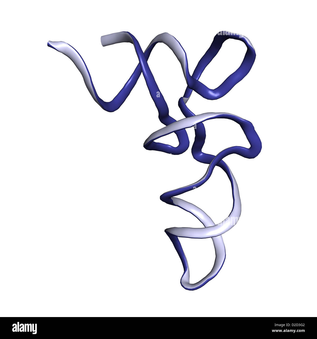 Transfer RNA tRNA ribonucleic acid translates messenger RNA mRNA into a ...