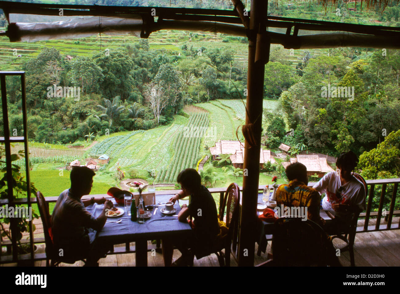 Indonesia. Bali. Pacung. Hotel. Rice Terraces. Viewed From Restaurant ...