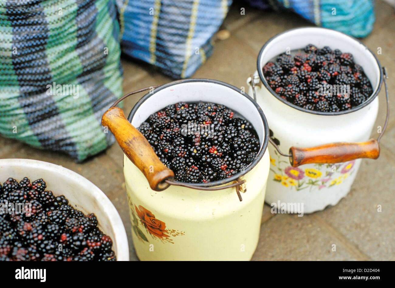 Mukacheve hi-res stock photography and images - Alamy