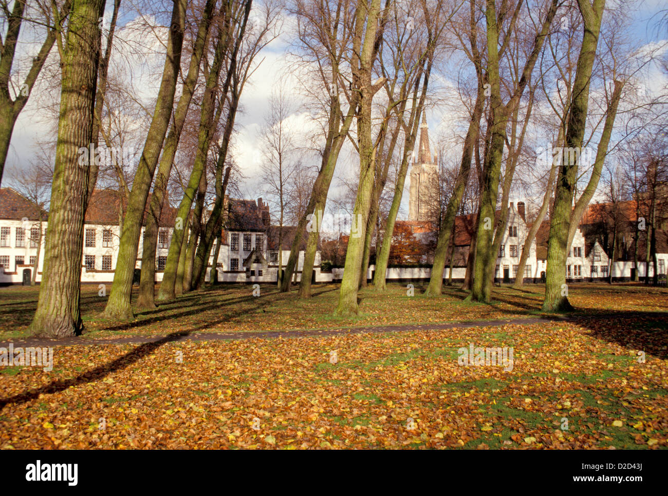 Belgium leaves hi-res stock photography and images - Alamy