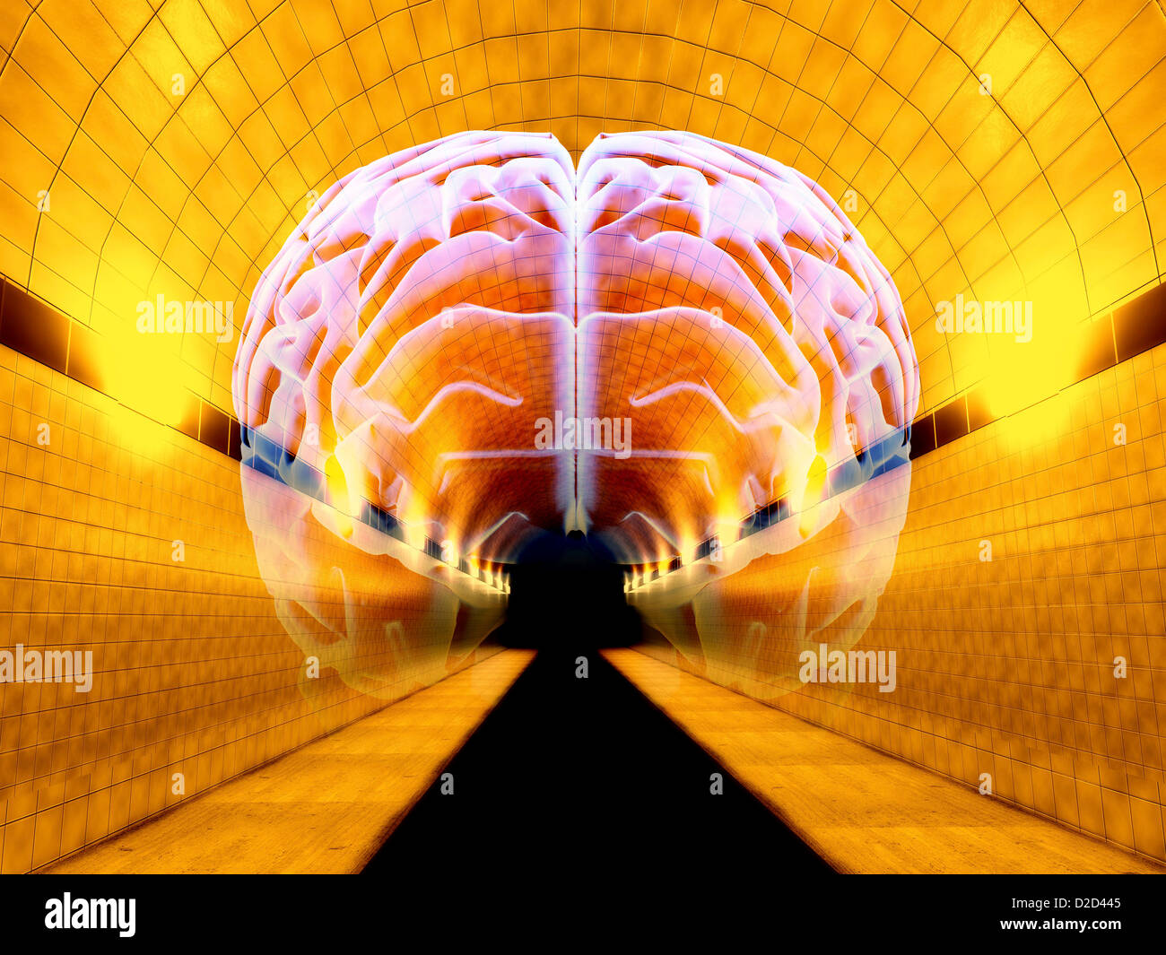 Mental state in human brain hi-res stock photography and images - Alamy