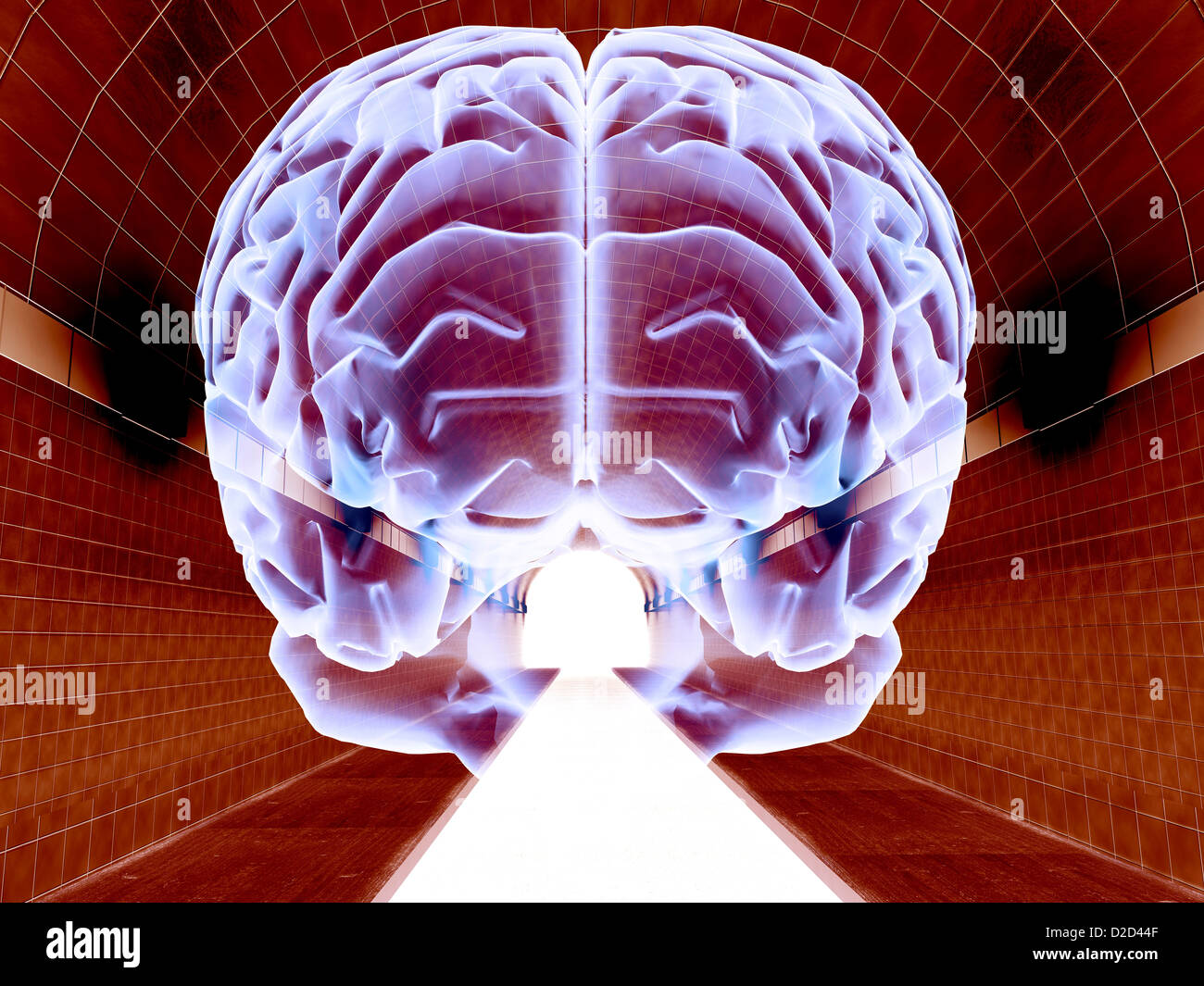 Psychological perspective hi-res stock photography and images - Alamy