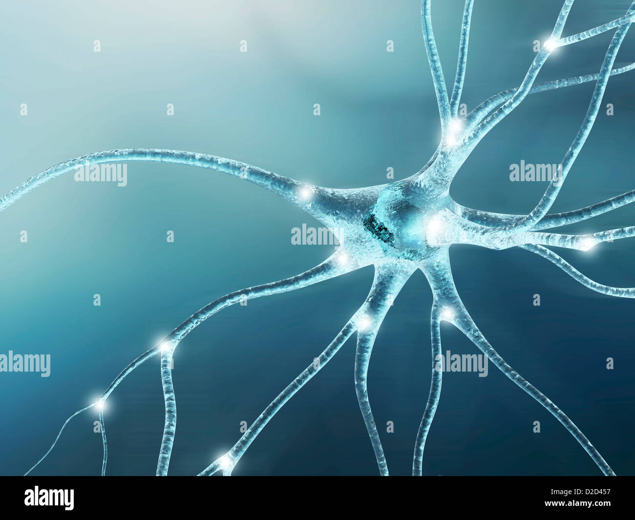 nerve cell Neuron central nervous system CNS to body cell centre ...
