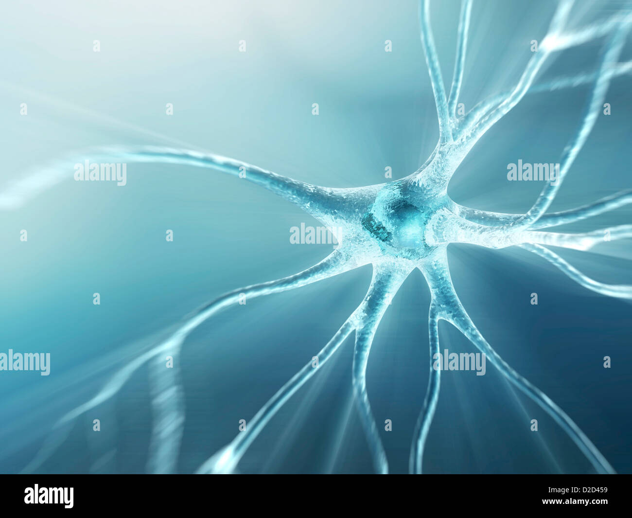 nerve cell Neuron central nervous system CNS to body cell centre ...