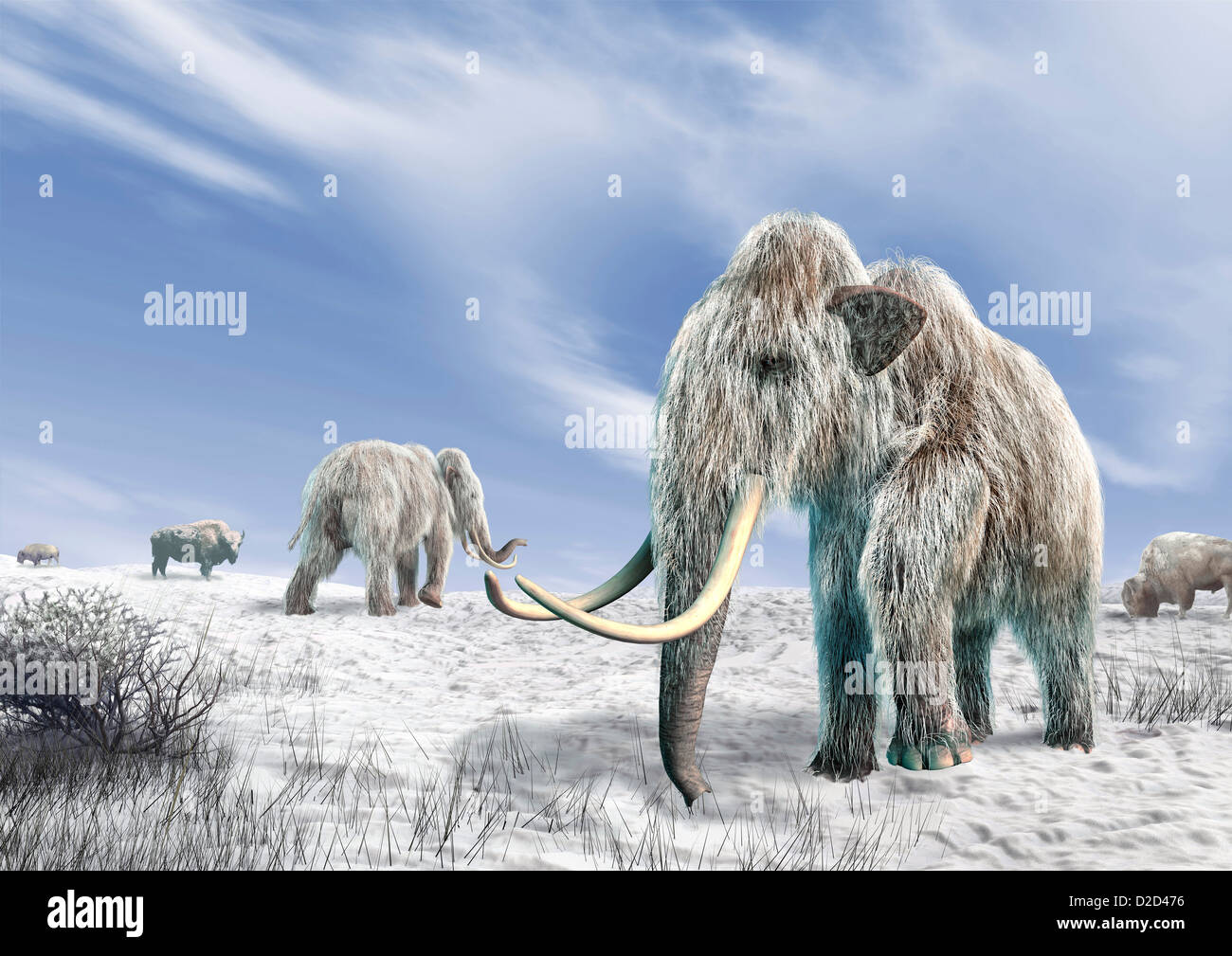 Woolly Mammoths High Resolution Stock Photography and Images - Alamy