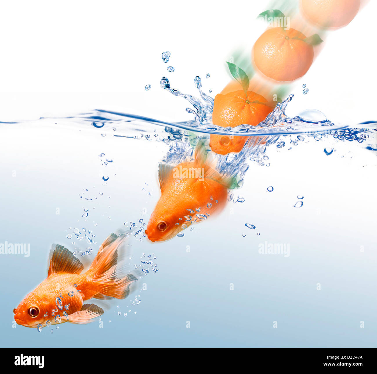 Goldfish water splash hi-res stock photography and images - Alamy