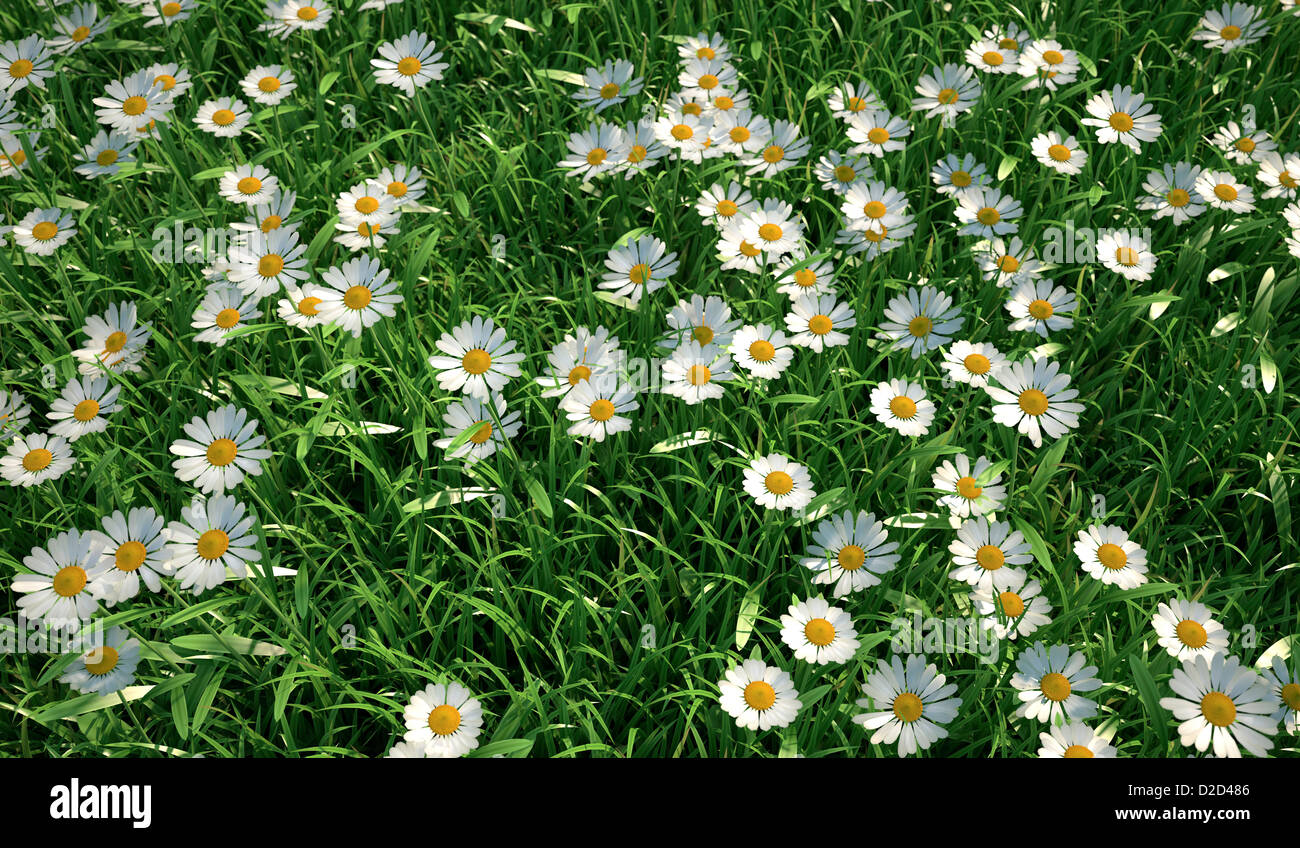 Asteraceae family hi-res stock photography and images - Alamy