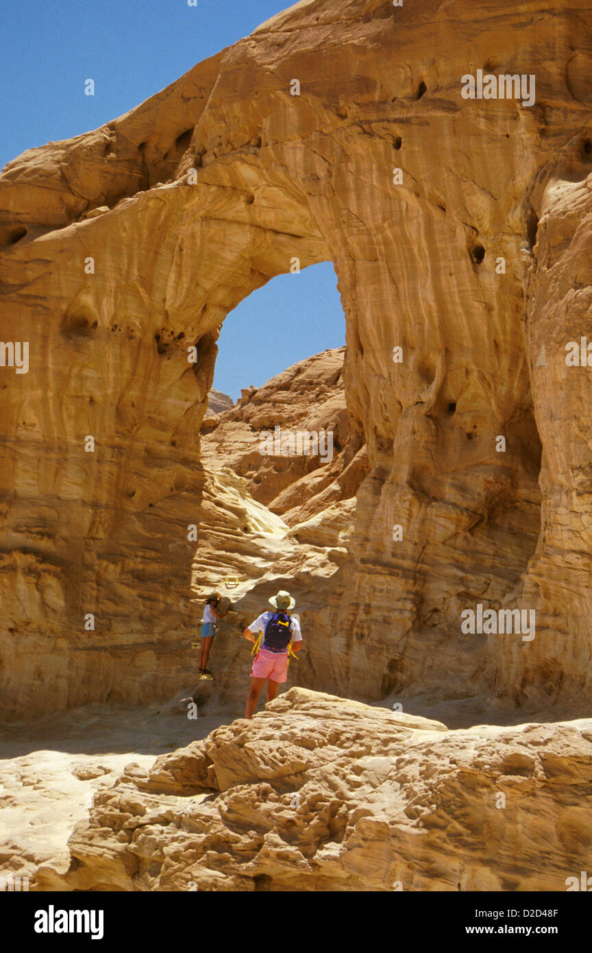 Israel timna park travel world israel general portrait color hi-res ...