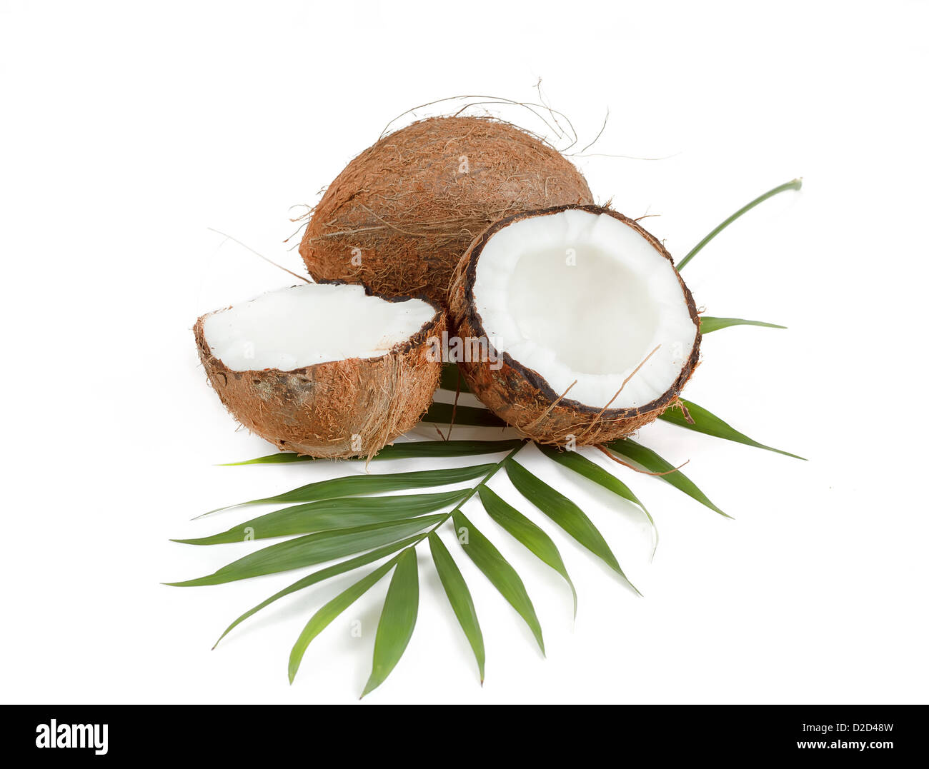 Coconut with leaves on a white background Stock Photo - Alamy