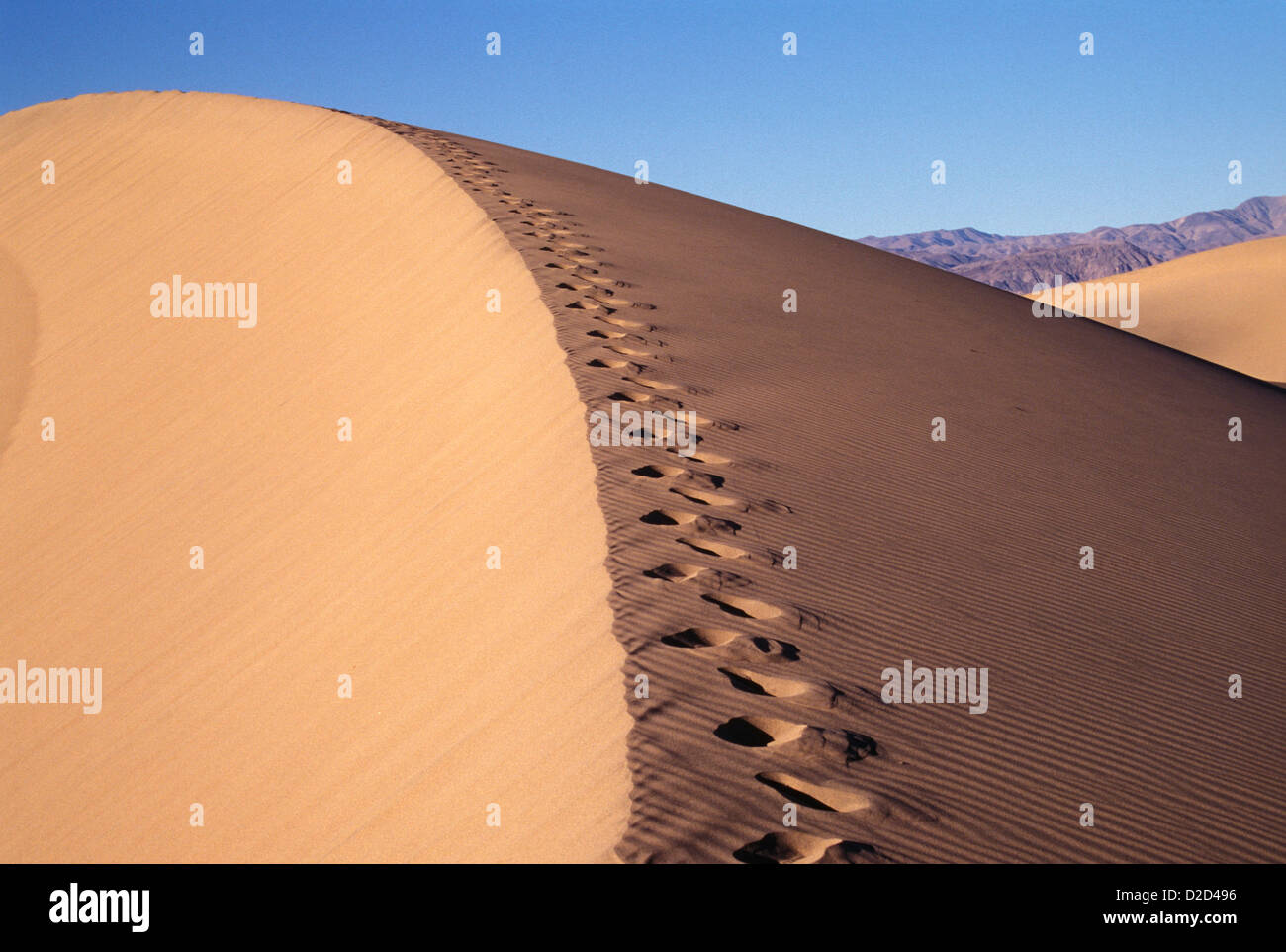 California, Death Valley, Sand Dunes, Desertscape, Footprints In The ...