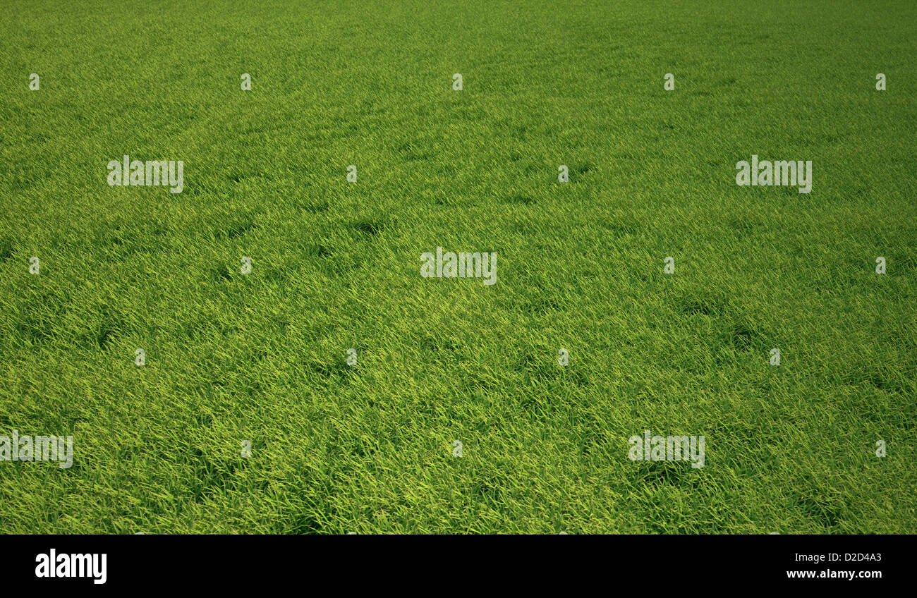 Grass meadow computer artwork Stock Photo - Alamy