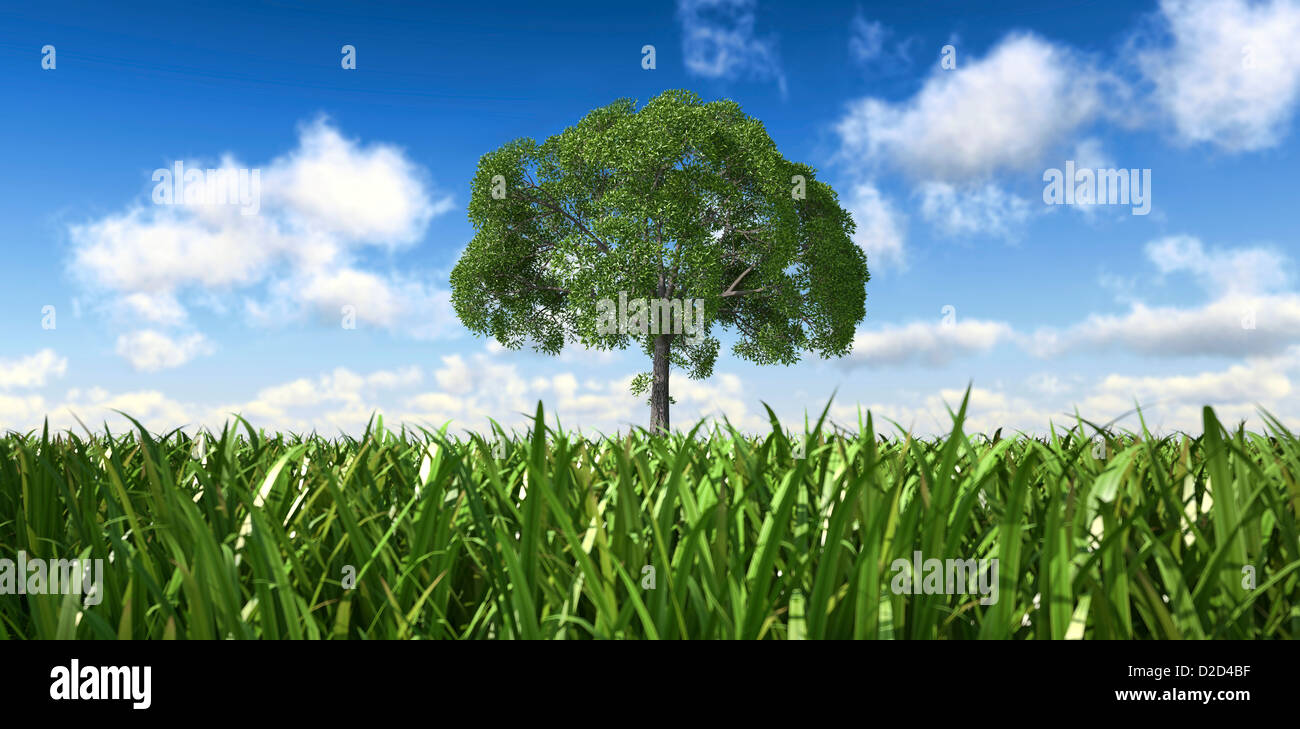 Artwork field hi-res stock photography and images - Alamy