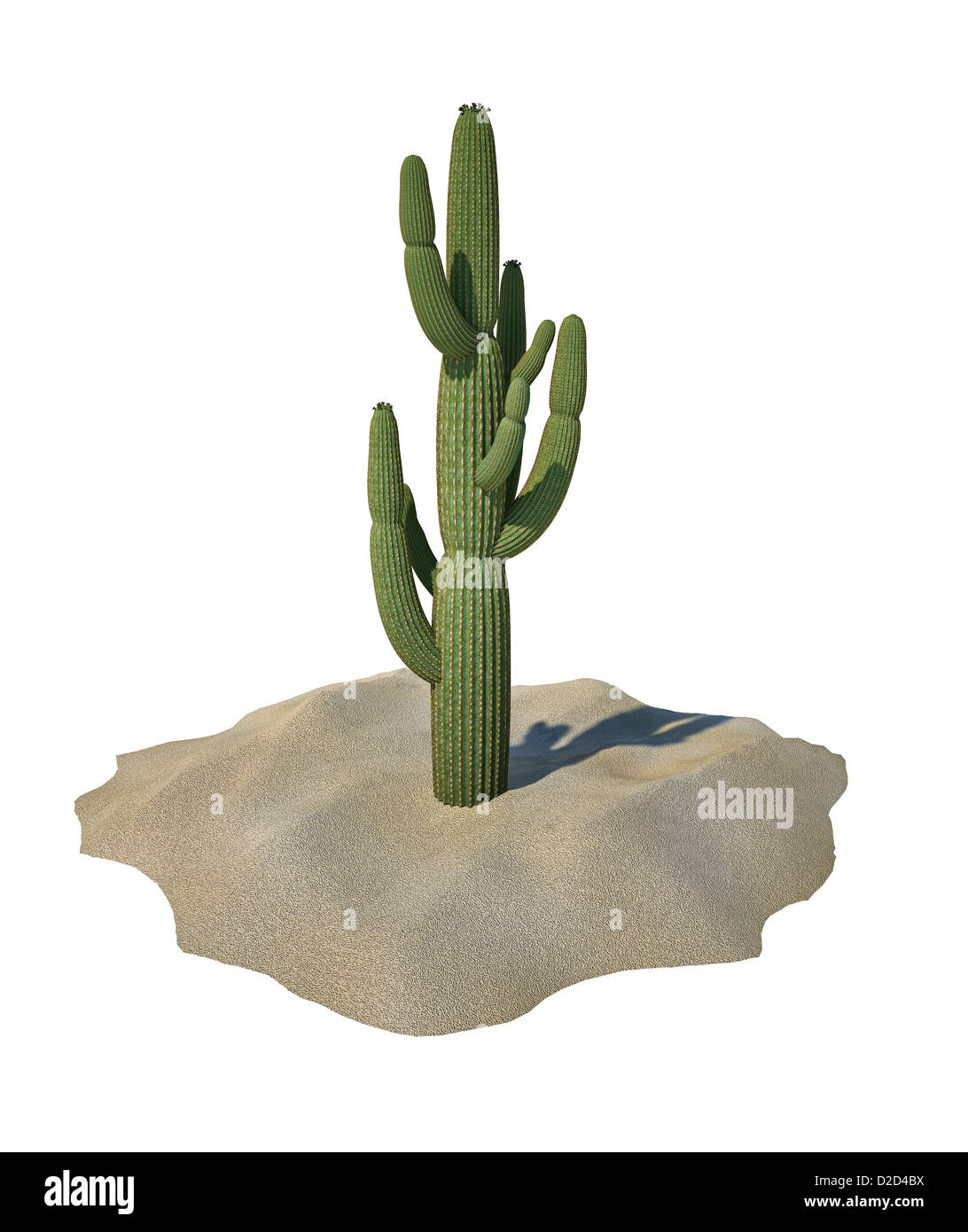Cactus computer artwork Stock Photo - Alamy