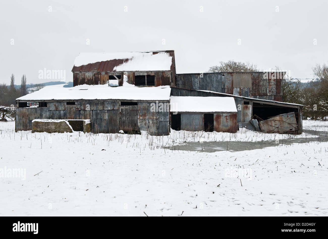 An old snow-covered corrugated iron farm barn in winter, Herefordshire ...