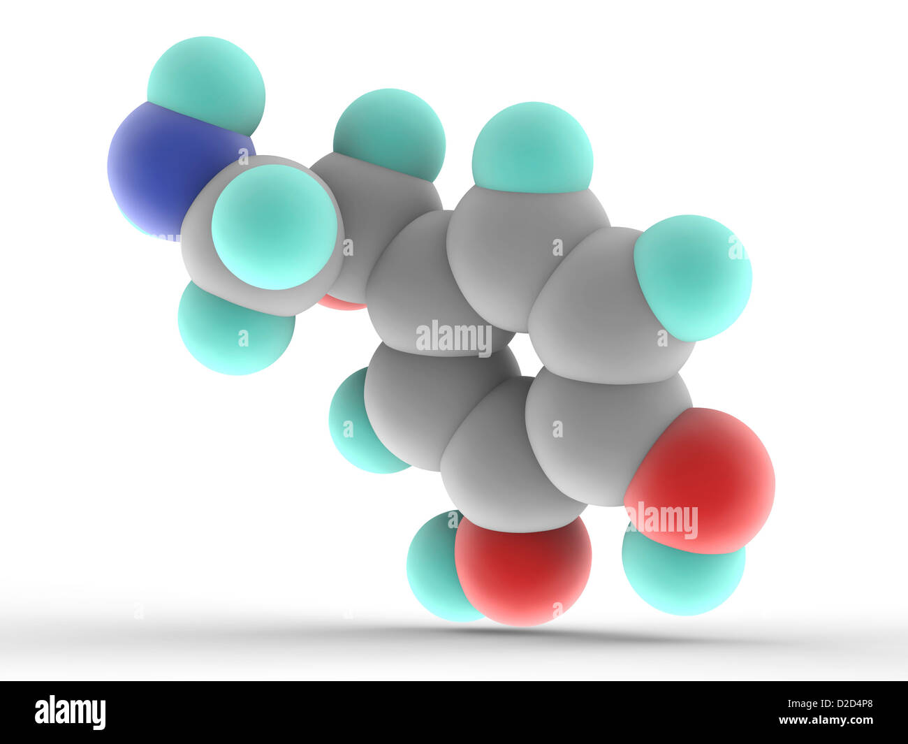 Noradrenaline norepinephrine catecholamines molecular model hormone ...