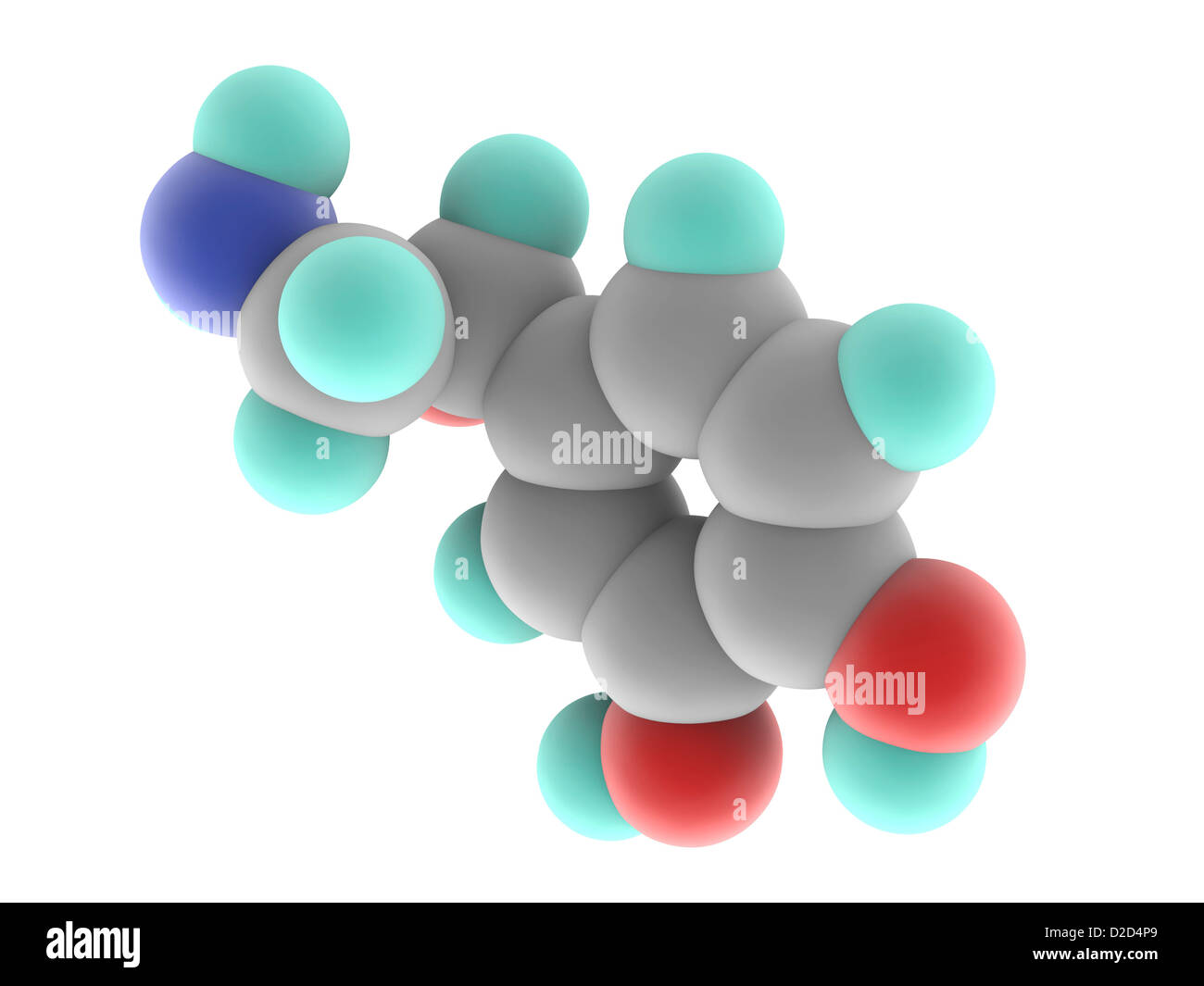 Noradrenaline norepinephrine catecholamines molecular model hormone ...