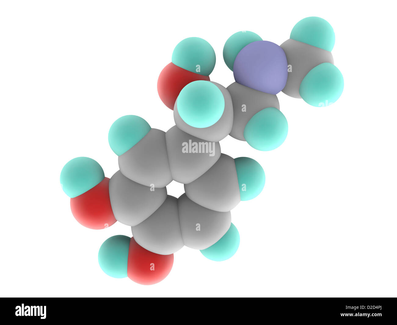 Adrenaline epinephrine is a hormone and a neurotransmitter Stock Photo ...