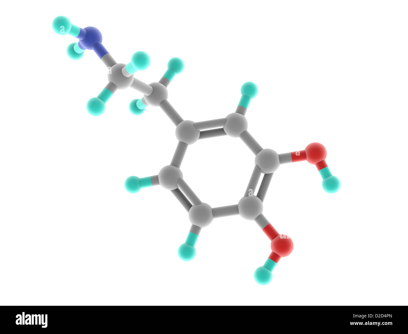 Dopamine molecular model Organic compound functioning as a ...