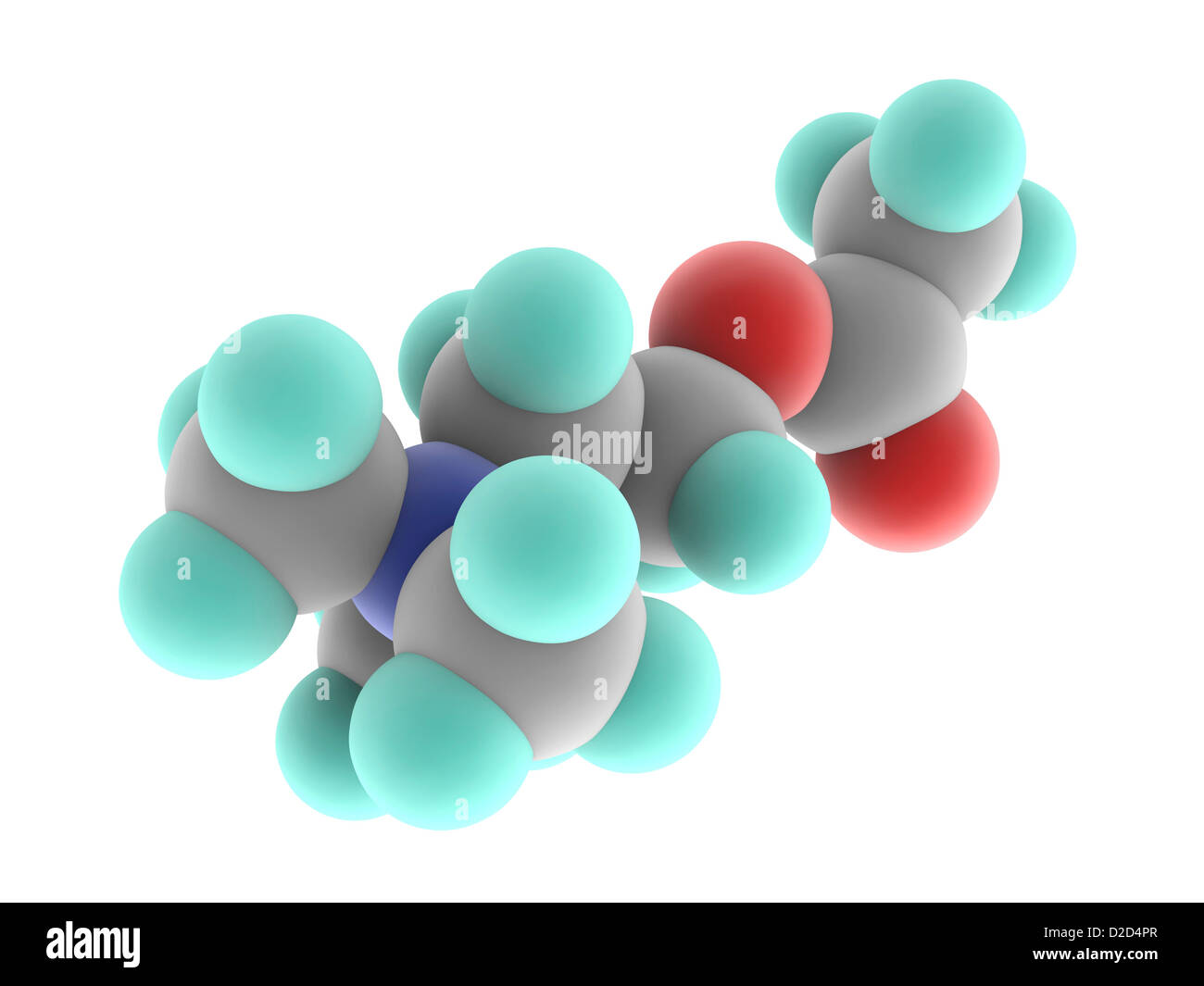 Acetylcholine molecular model Organic compound neurotransmitter in ...