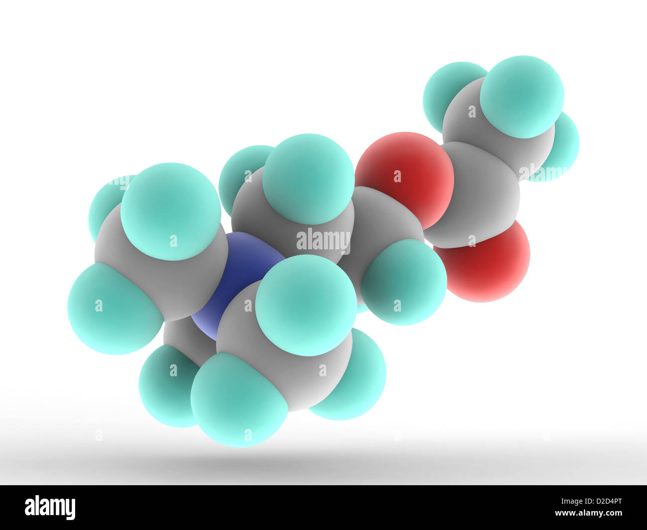 Acetylcholine molecular model Organic compound neurotransmitter in ...