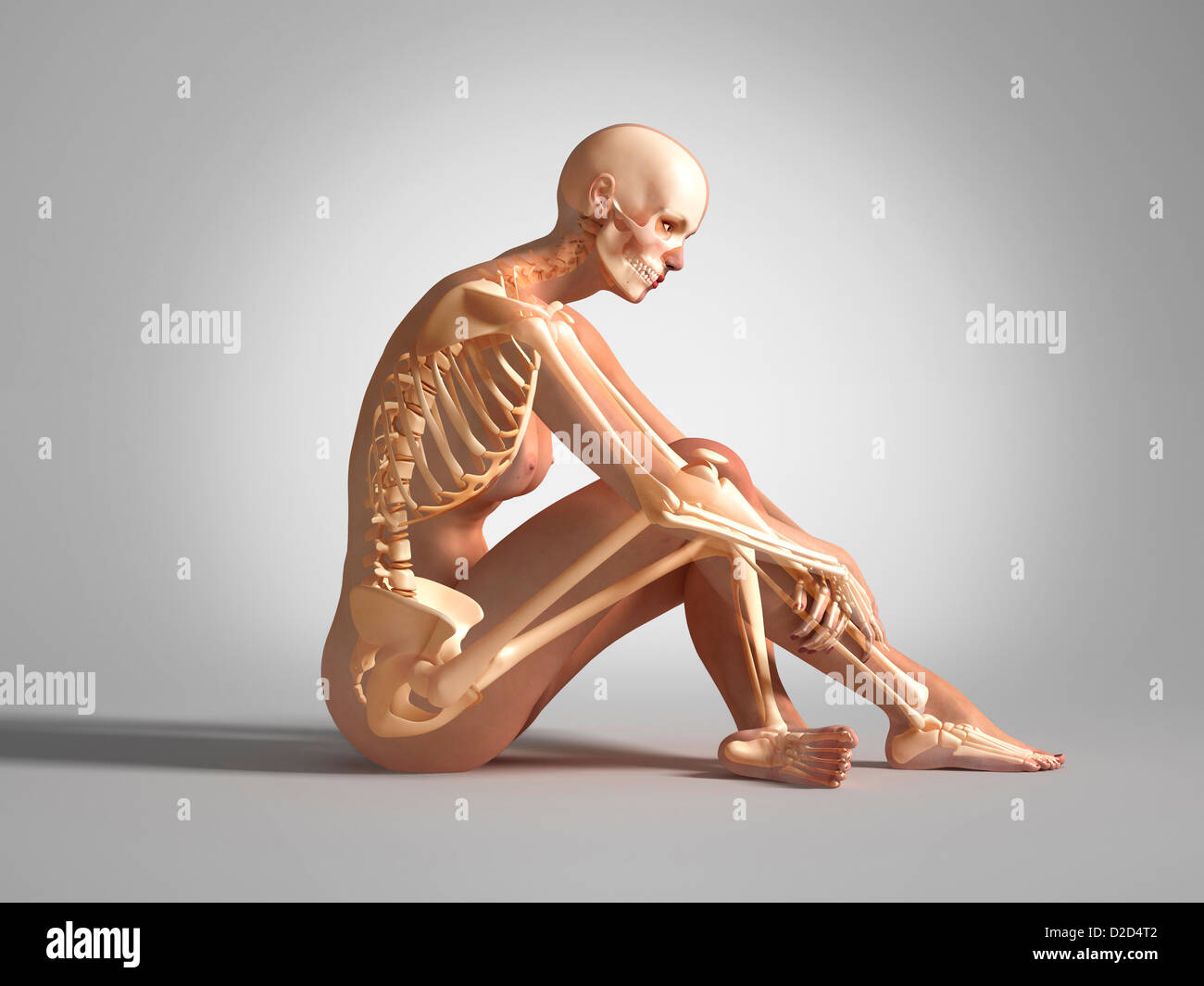 Female skeleton computer artwork Stock Photo - Alamy