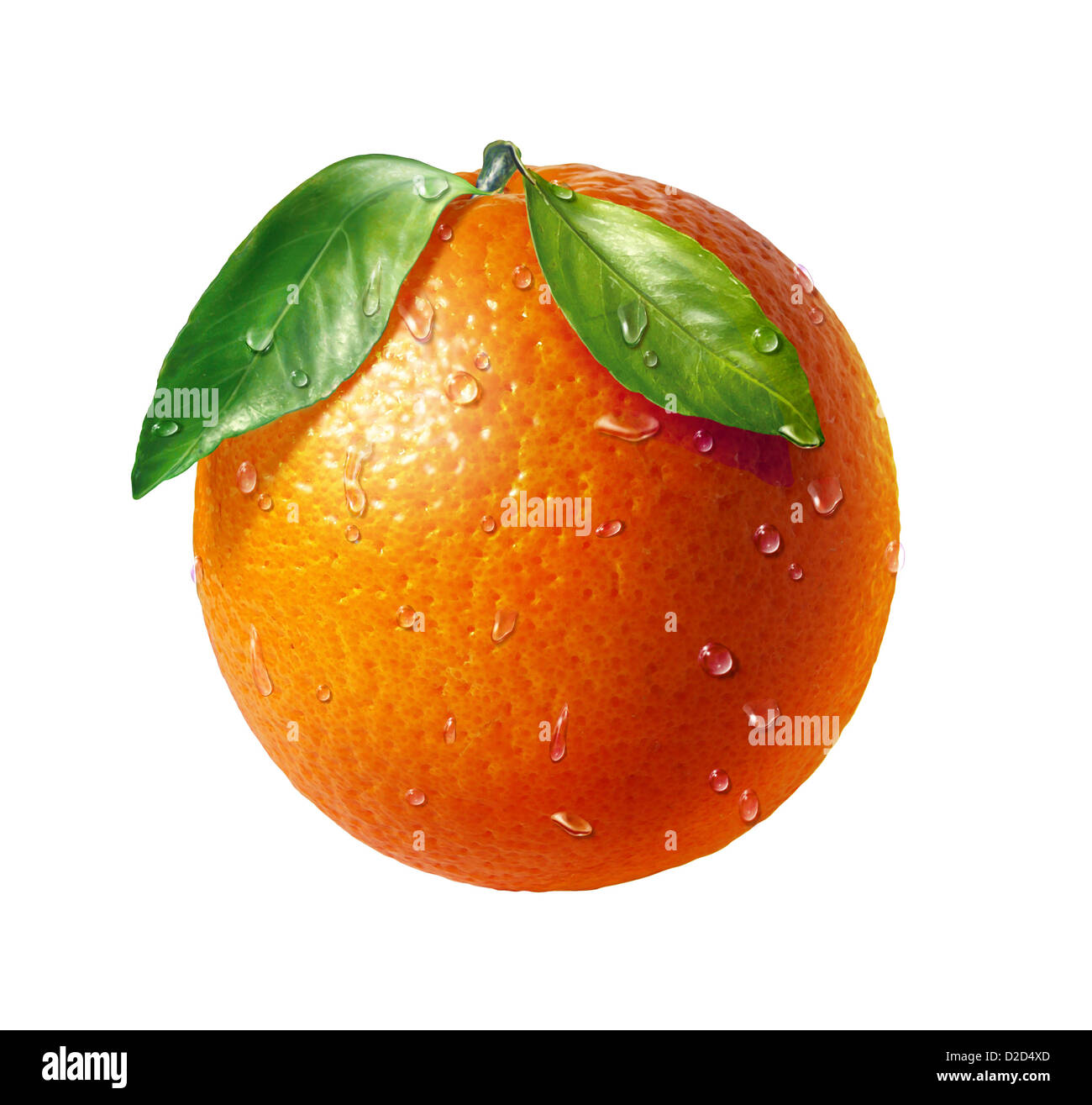 Orange artwork fruit hi-res stock photography and images - Alamy