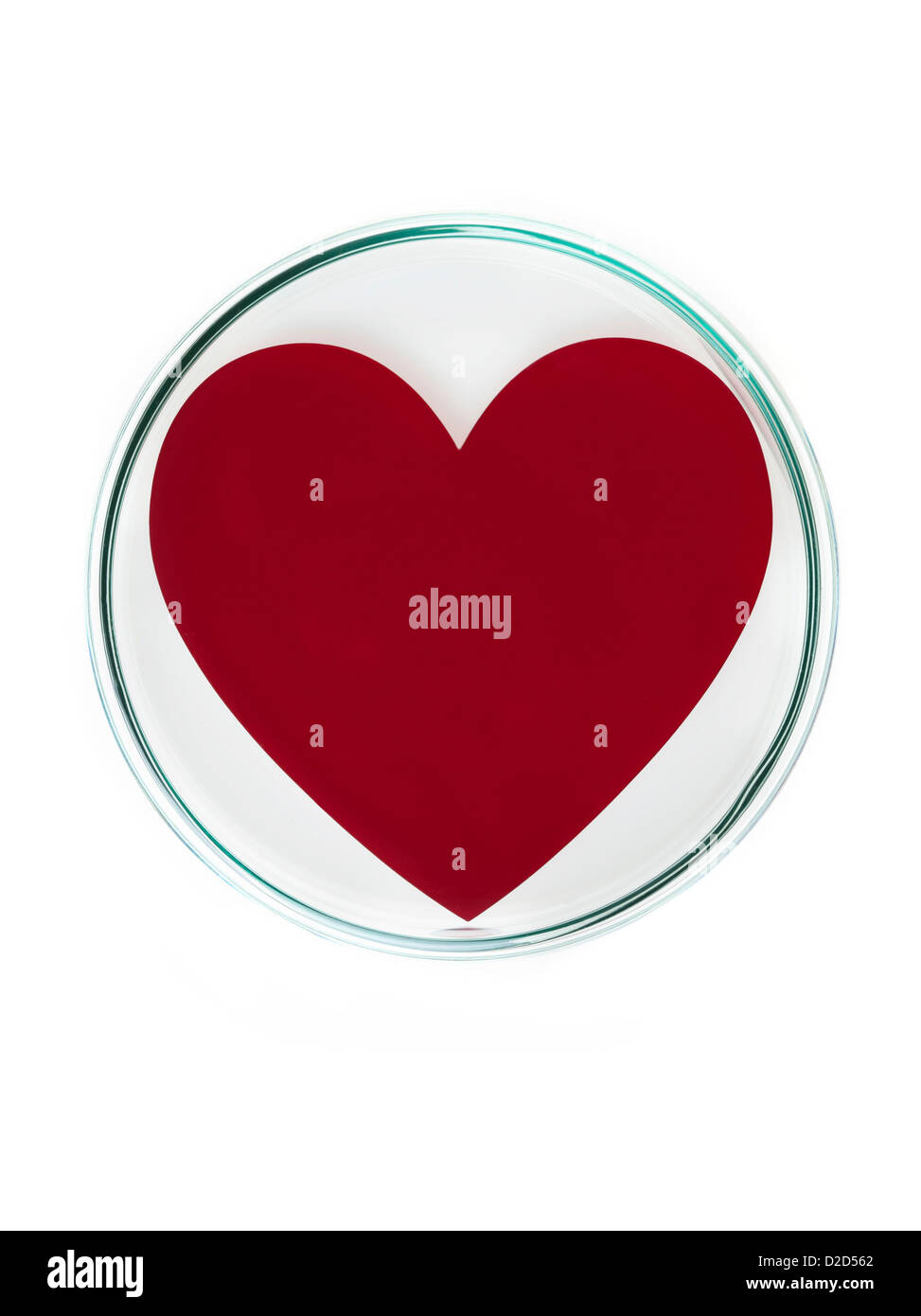 Computer research, healthcare Cut Out Stock Images & Pictures - Alamy