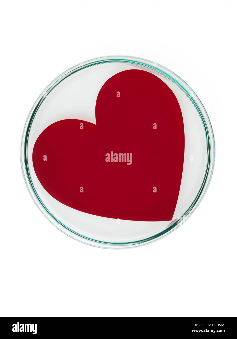 Computer research, healthcare Cut Out Stock Images & Pictures - Alamy