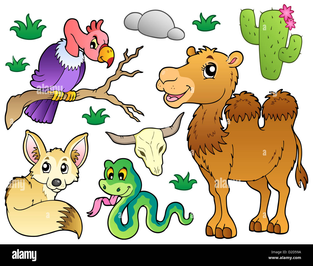Desert Animals Drawings