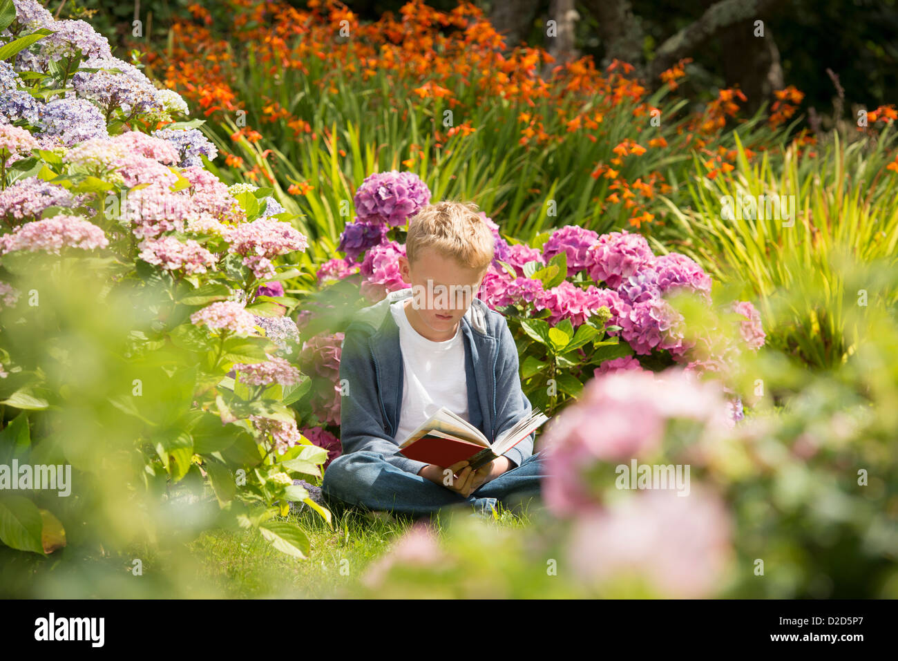 Boy reading in garden Stock Photo - Alamy