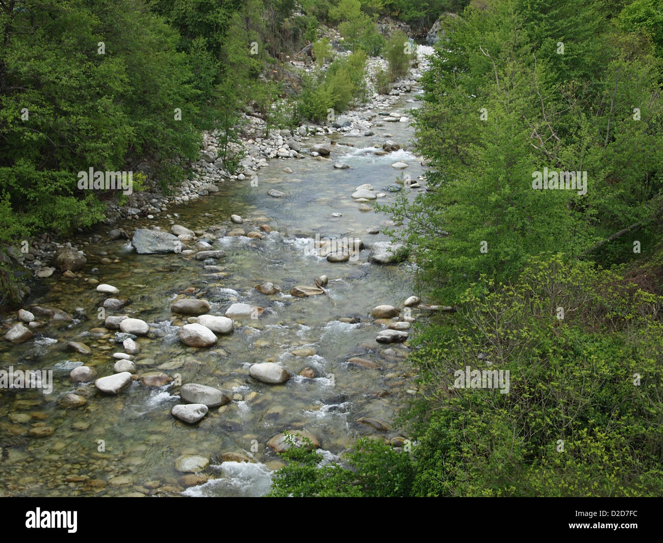 A small stream in a forest Stock Photo - Alamy