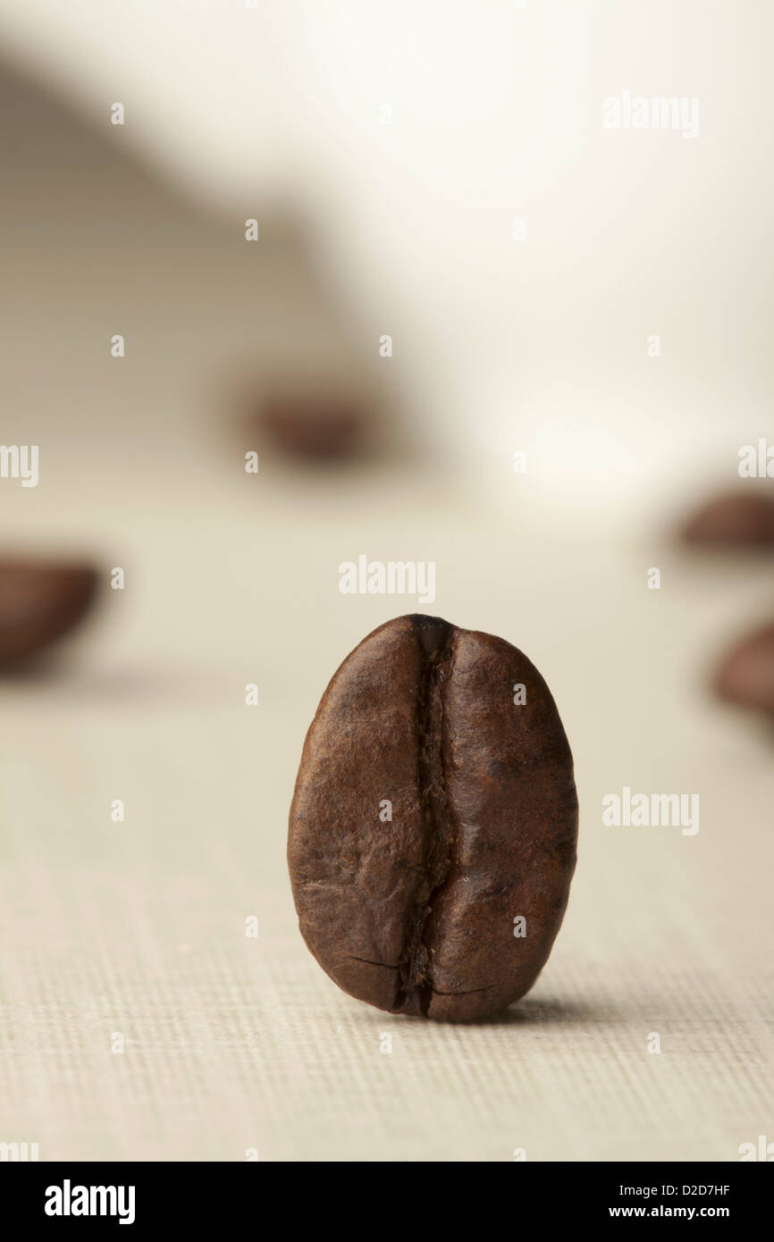 A coffee bean Stock Photo - Alamy