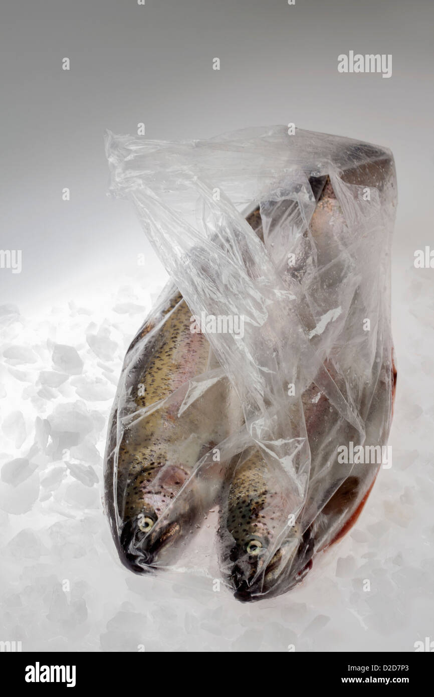 Ice plastic bag hi-res stock photography and images - Alamy