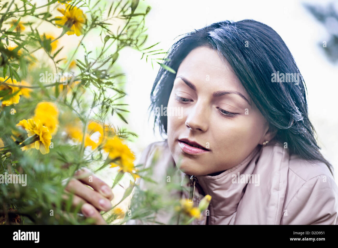 A young woman considering a yellow wildflower Stock Photo - Alamy