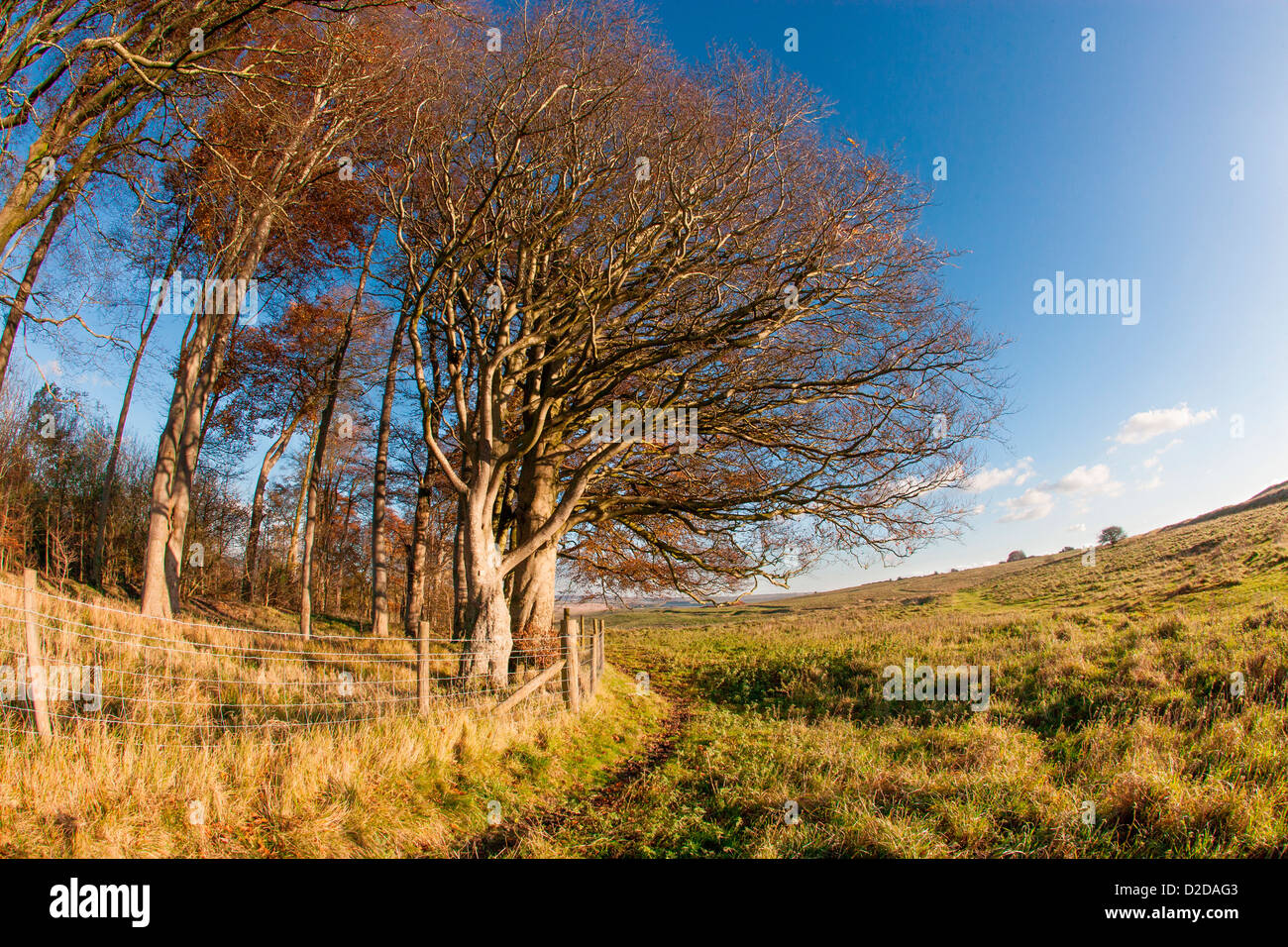 Calne wiltshire england uk hi-res stock photography and images - Alamy