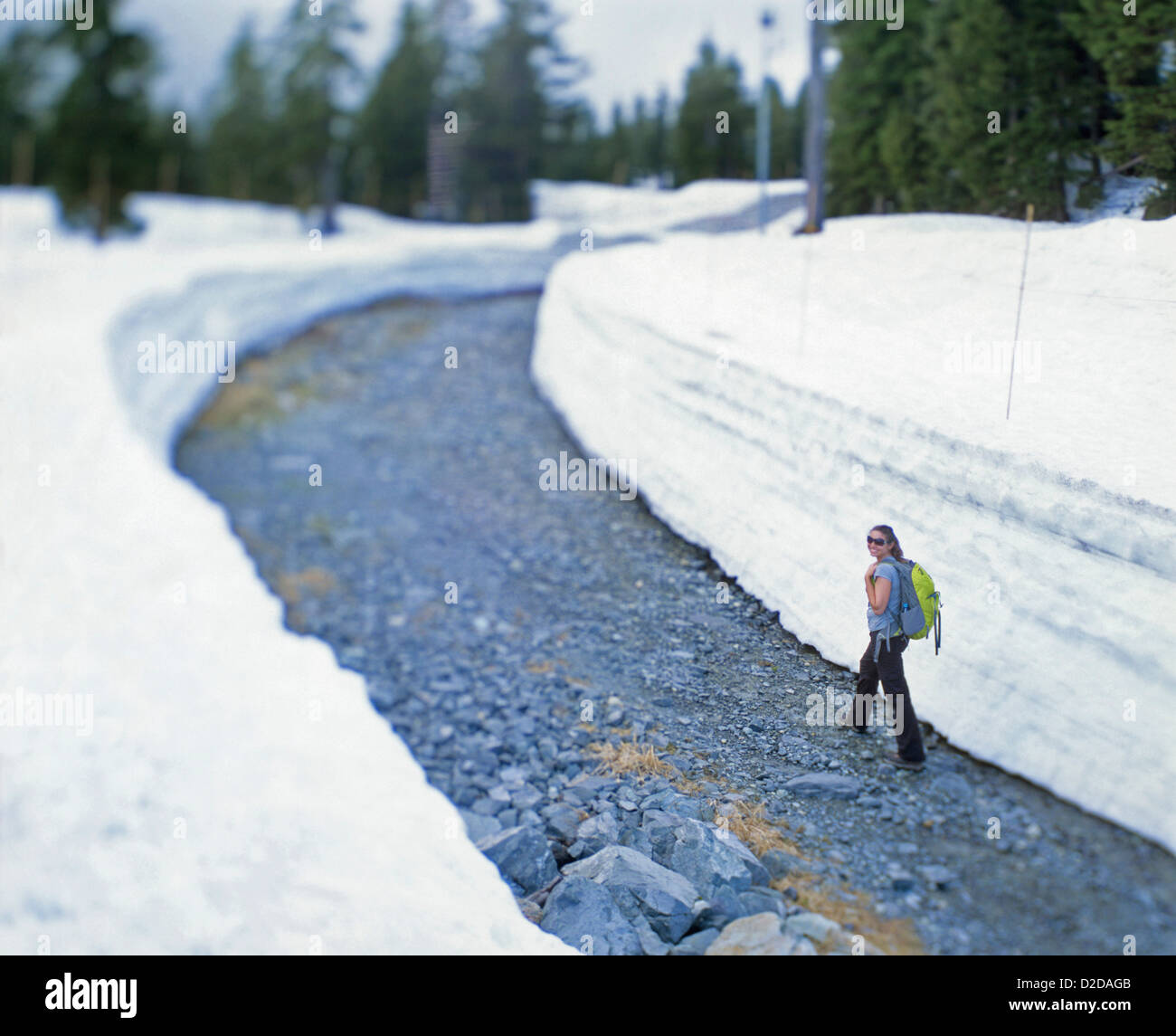 Female hiker walking through clear pathway on Mount Seymour, Vancouver ...