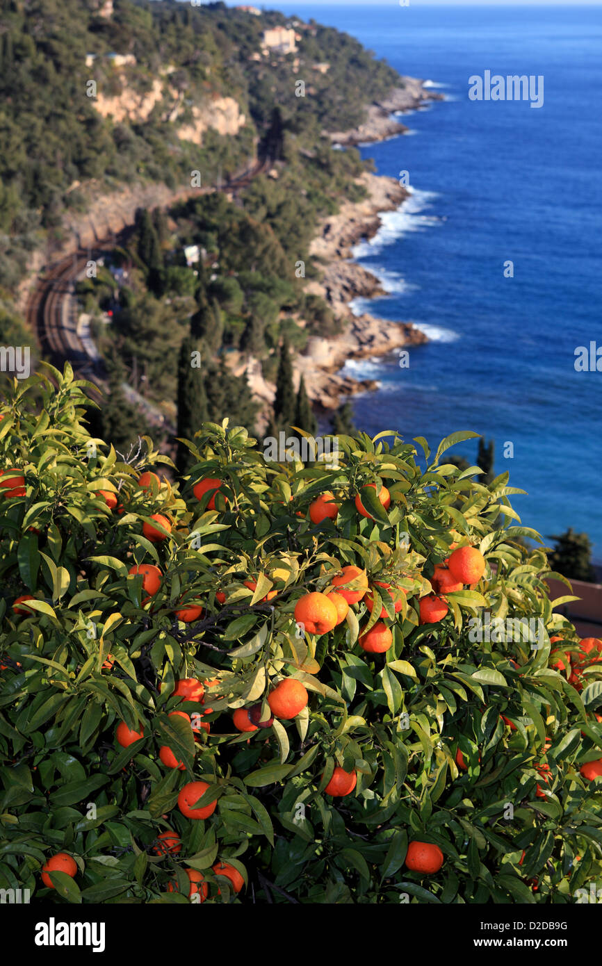 Top view above the Cap Martin near Menton Stock Photo - Alamy