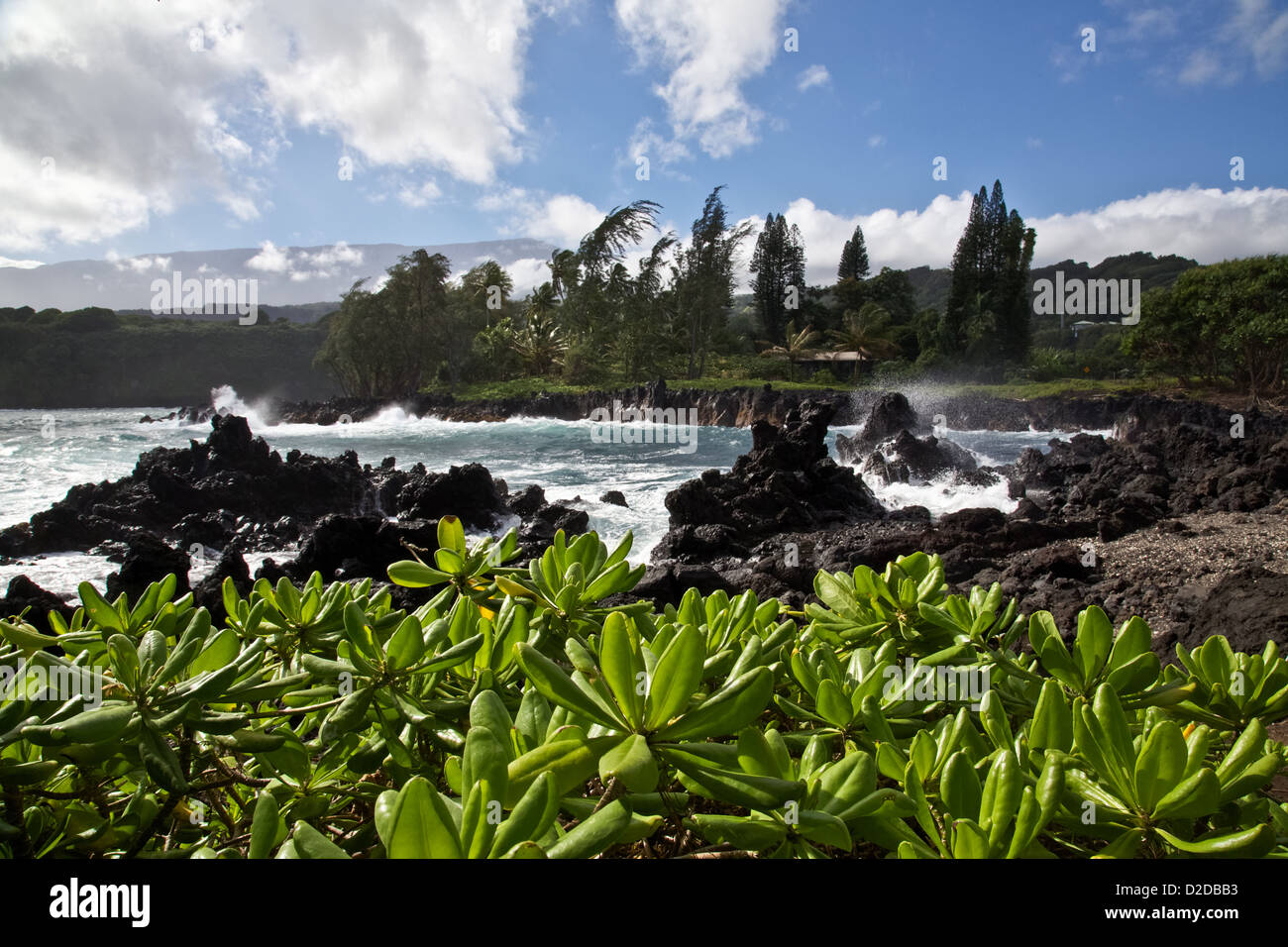 Ke'anae Beach Park Stock Photo - Alamy Ke'anae Beach Park Stock Photo - Alamy