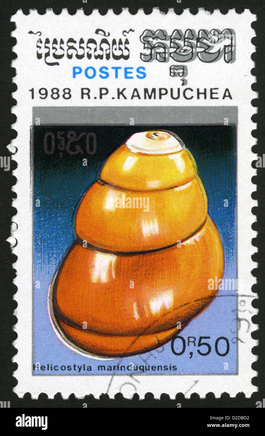 Shell molluscs illustrations hi-res stock photography and images - Alamy