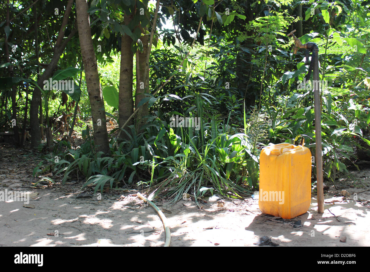A photograph of one of many bright yellow containers used to transport ...
