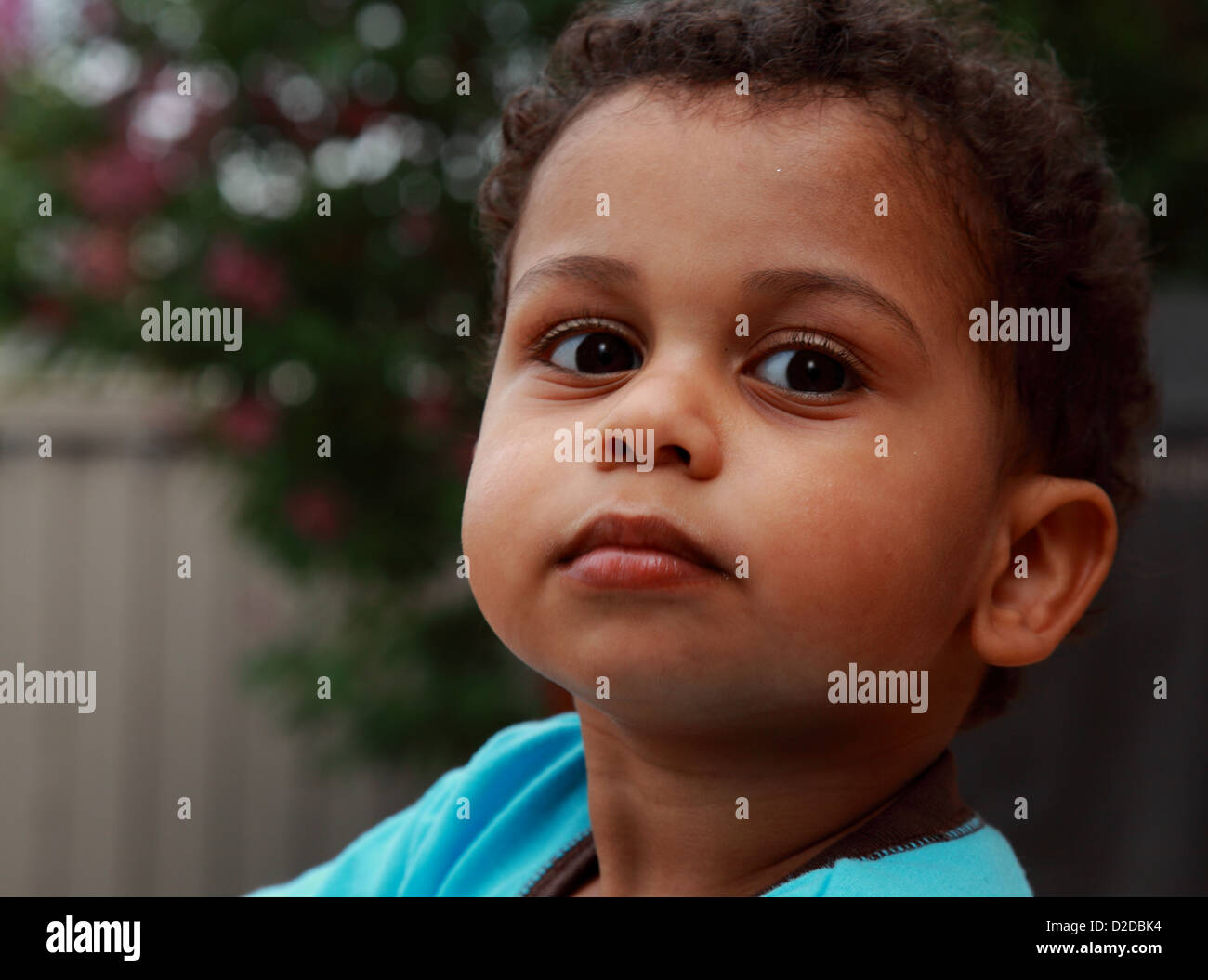young mixed race boy with smug look Stock Photo - Alamy