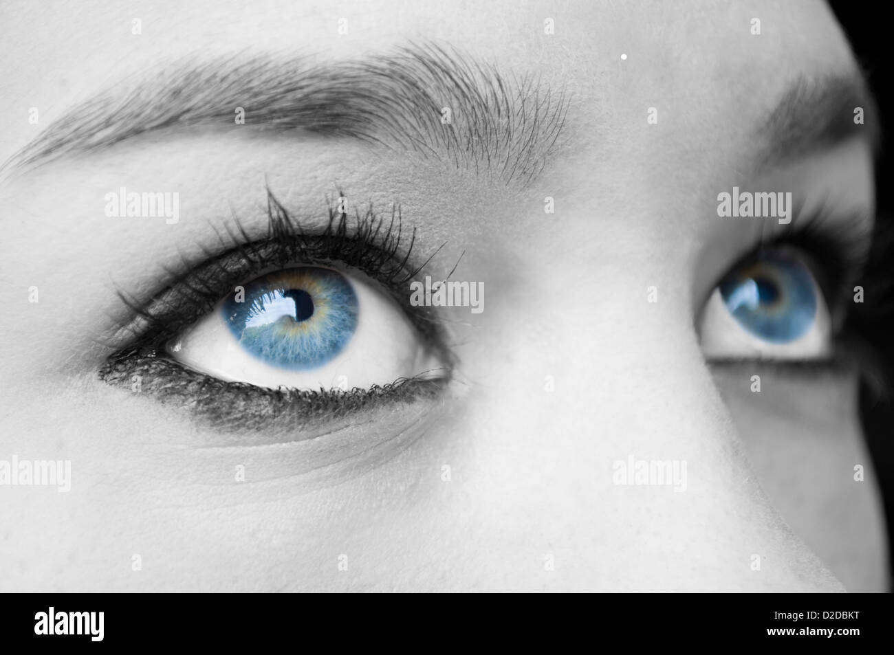 Female blue eyes close-up view Stock Photo - Alamy