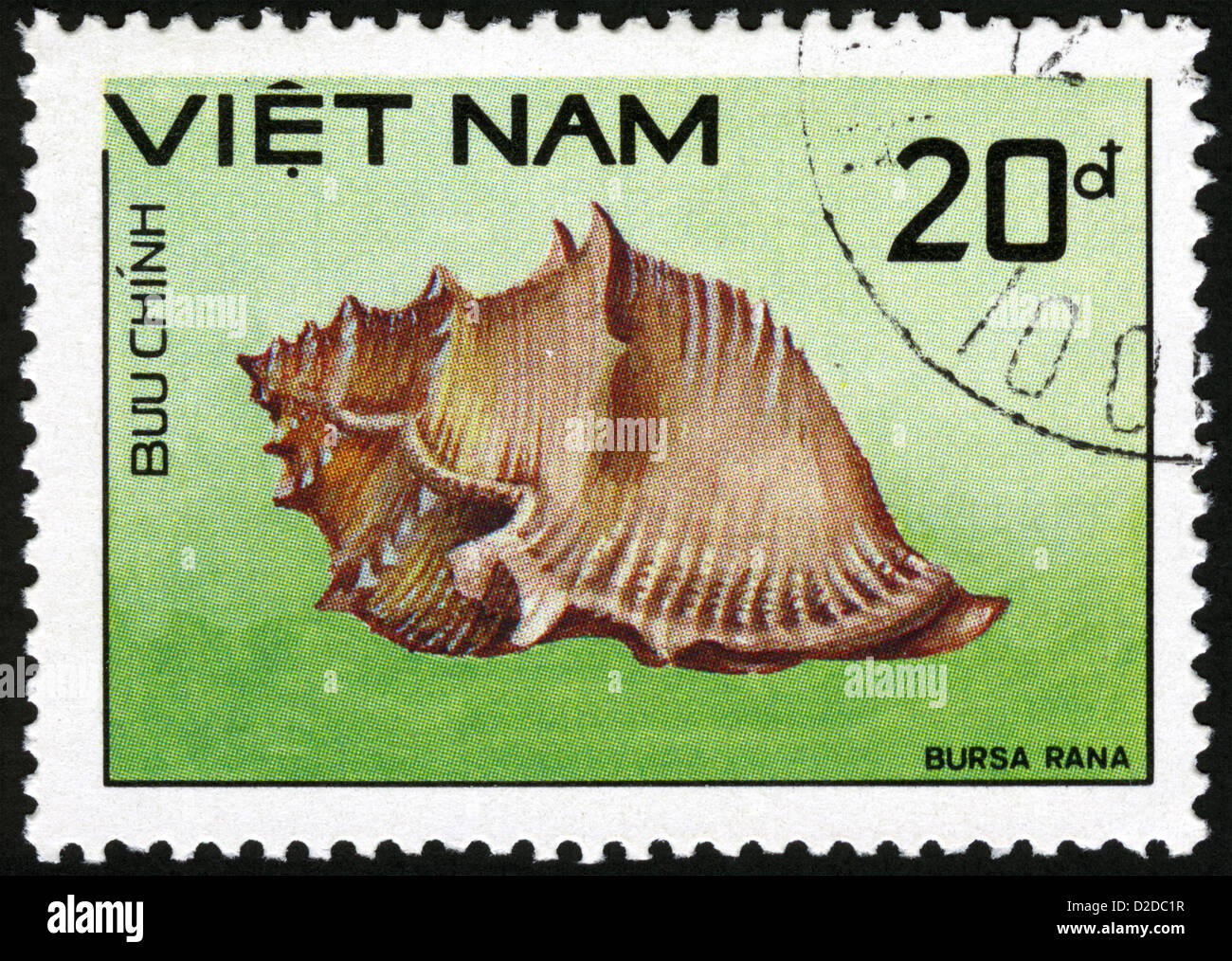 Vietnam,post mark,stamp,molluscs, shell Stock Photo - Alamy