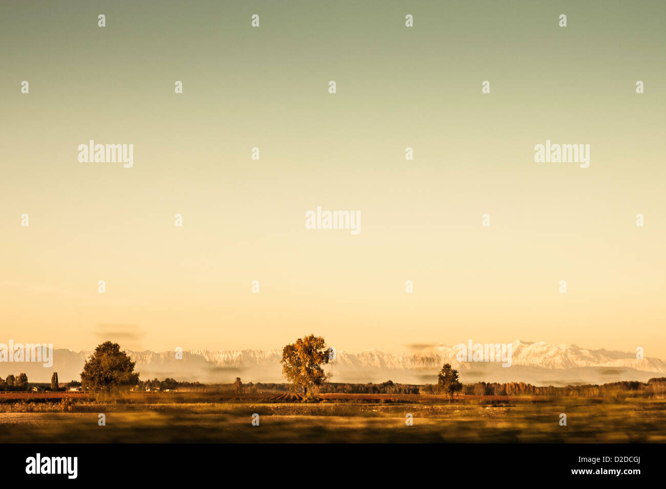 Trees growing in rural landscape Stock Photo - Alamy