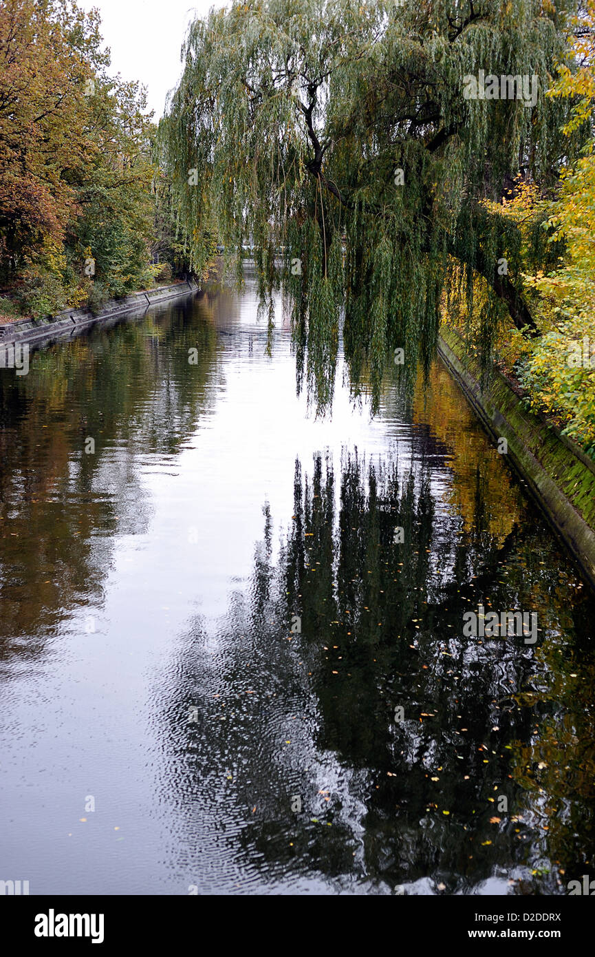 Willow hanging over river hi-res stock photography and images - Alamy